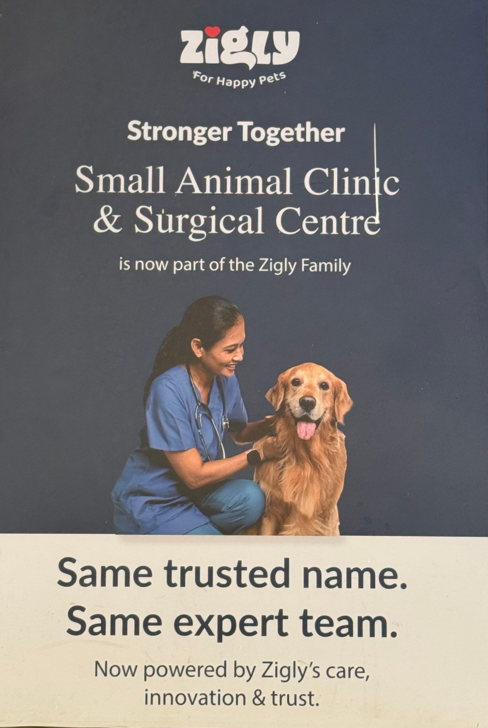 Zigly launches its first pet hospital and experience center in Mumbai ...